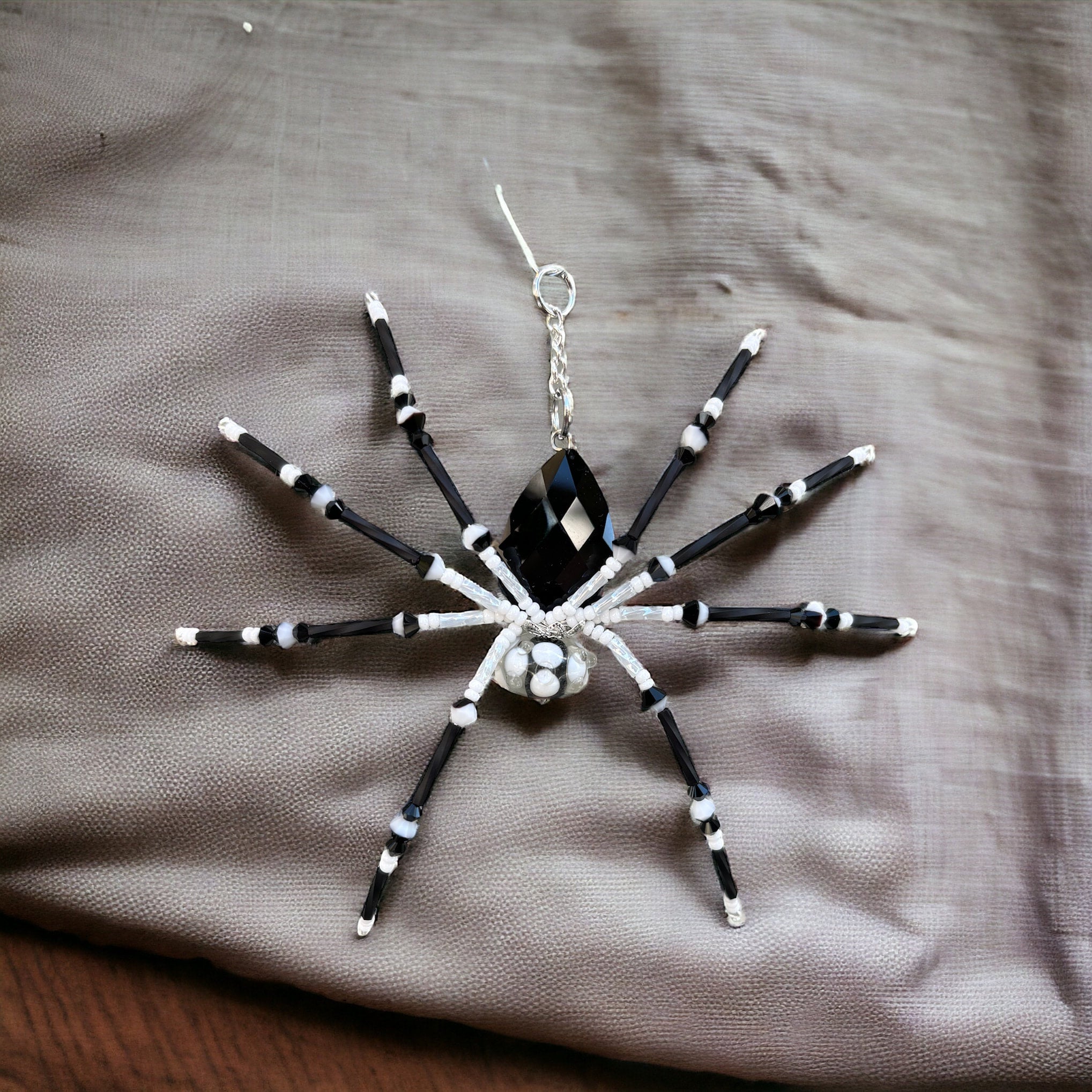 Black/White Teardrop Garden Spider | The Spider Lady