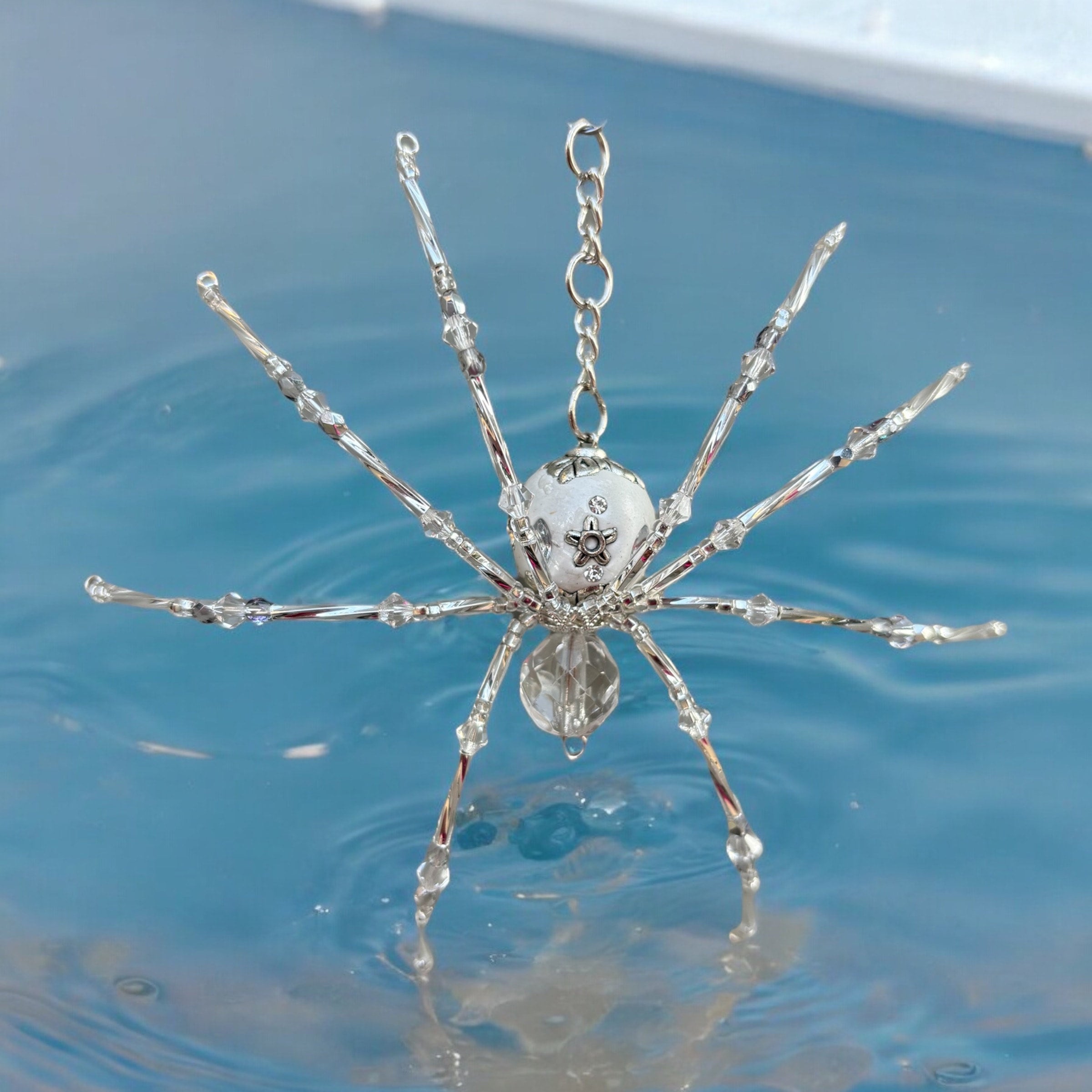 White/Silver Garden Spider | The Spider Lady