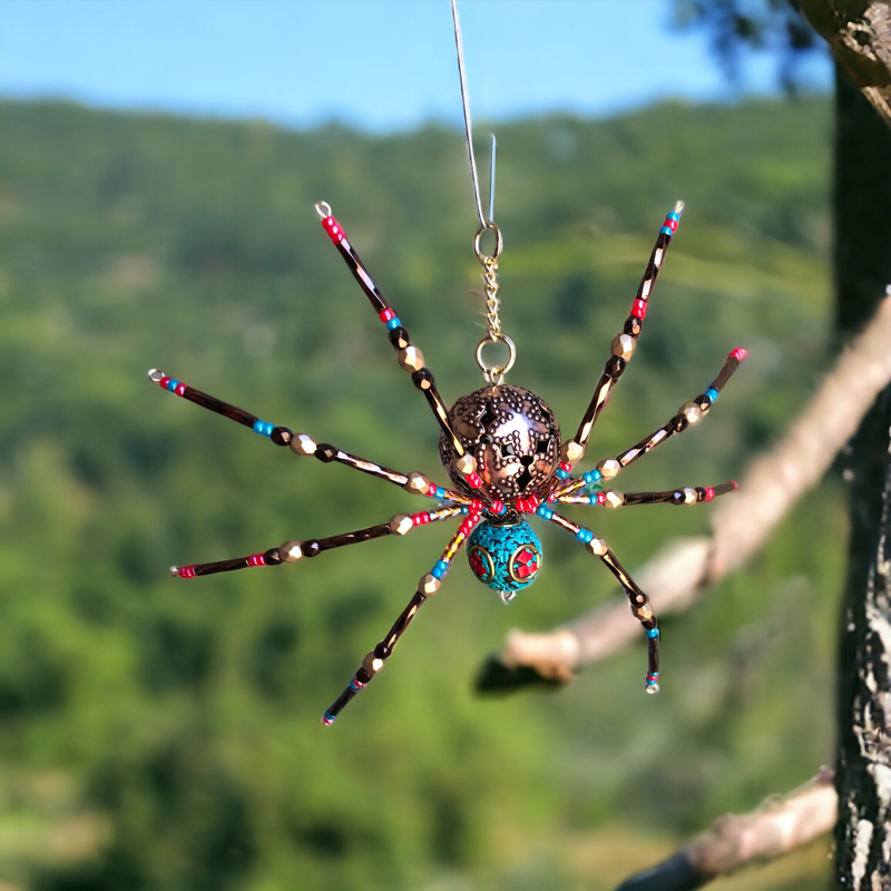 Southwest Copper Spider | The Spider Lady