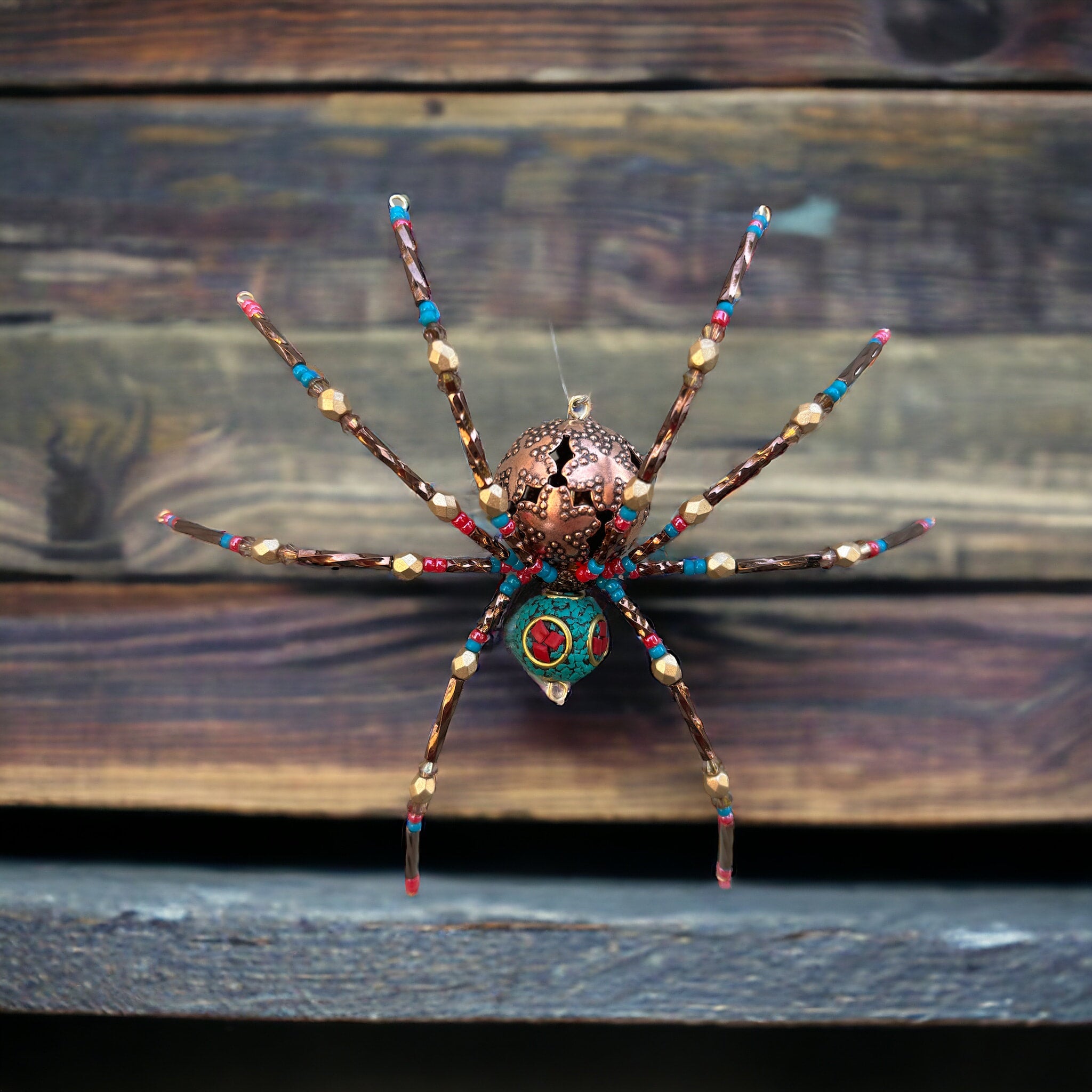 Southwest Copper Spider | The Spider Lady